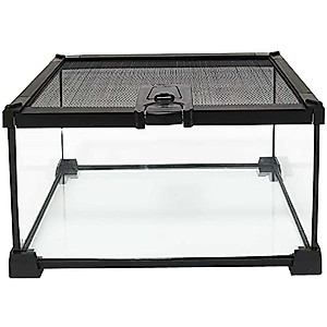 kathson Mini Reptile Glass Terrarium Tank 12"x8"x6" Amphibians Habitat Cage Full View Visually Appealing Sliding Screen Top for Bearded Dragons Lizards Geckos Hermit Crab Frog