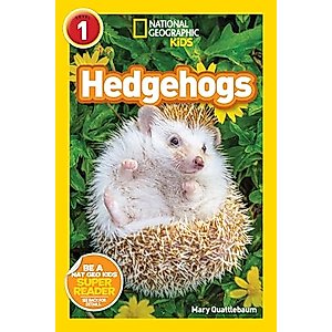 Hedgehogs (National Geographic Kids Readers, Level 1)