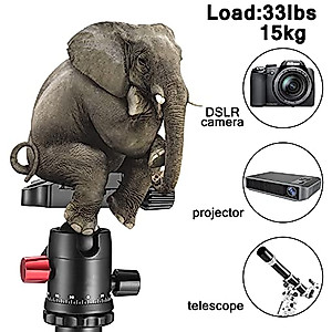 ZIKZOK Professional 62" DSLR Tripod Camera Tripods with Phone Holder for Travel, Super Lightweight and Reliable Stability, Ball Head Tripod Detachable Monopod with Carry Bag (Black)