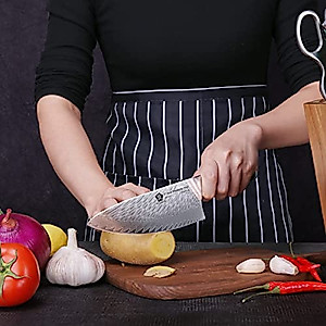 WILDMOK Damascus Kitchen Knife Set with Block Premium Quality 7 Pieces Kitchen Knife Set Razor-Sharp with Ergonomic Handle (7pcs Knife Block Set Blue Resin Handle)