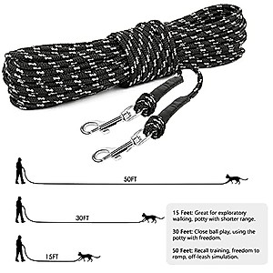 Rypet Reflective Cat Long Leash - 15 FT Escape Proof Walking Leads Yard Long Leash Durable Safe Personalized Extender Leash Traning Play Outdoor for Kitten, Puppy, Rabbit and Small Animals
