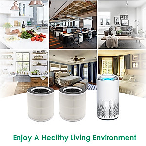 Flintar VK-6067B H13 True HEPA Replacement Filters, Compatible with Vremi and HOKEKI VK-6067B Air Purifier, 3-in-1 H13 Grade True HEPA and Activated Carbon Filter Set (2 - Set)