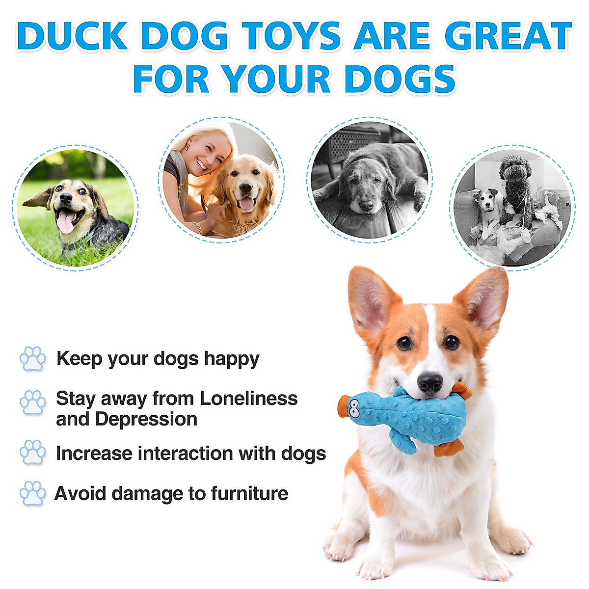 Alphatool Squeaky Dog Toys, Duck Dog Toys for Aggressive Chewer, Tough Plush Dog Toys for Large Dogs, Crinkle Interactive Puppy Dog Toys for Small Medium Dogs (3pcs)