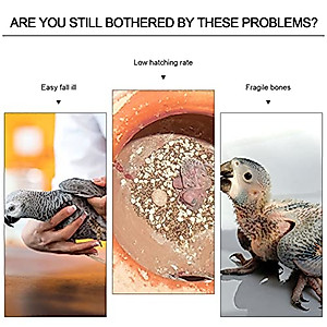 30pcs Parrot Training Toys Cuttlefish Bone Pet Training Chewing Molar Toy turtle calcium