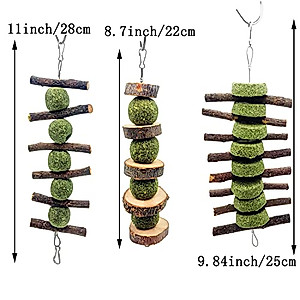 MYYZMY 3 Pcs Bunny Chew Toys, Rabbit Chew Toys for Teeth Grinding, Natural Organic Apple Wood Stick for Improve Rabbits Guinea Pigs Hamsters Dental Health