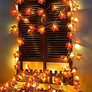 2 Pack Fall Decor Enlarged Maple Leaf Fall Lights Thick Leaf Garlands,Total 20Ft 40LED Lights Battery Operated Waterproof Fall Decorations Home Indoor Outdoor Autumn Thanksgiving Halloween Decor