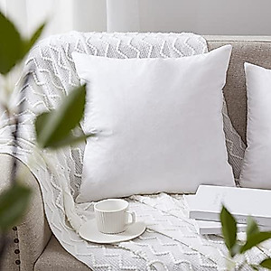 YSTHER Down Feather Throw Pillow Inserts 20x20 Set of 2 Square Form Sham Stuffer Premium Hypoallergenic Cotton Lumbar White Decorative Sofa Cushion Couch