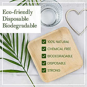 Palm Leaf Plates - Compostable and Grease Resistant 6 Inch Square Plates - Eco Friendly Plate is 100% Natural, Sturdy & Microwave Safe - Disposable & Biodegradable Wood Alternative to Bamboo Plates