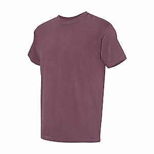 Comfort Colors Men's Adult Short Sleeve Tee, Style 1717 (X-Large, Purple Haze)