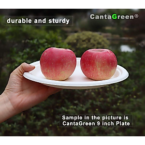 CantaGreen 12 OZ Compostable Bowls,100 Count Heavyduty Sugarcane/Bagasse and Bamboo Fibre Biodegradable Disposable Paper Bowls