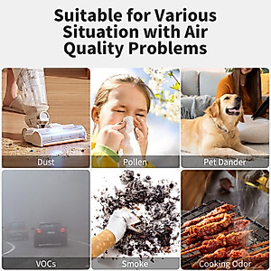 SAKEGDY True HEPA Replacement Filter, Compatible with TEC.BEAN JH50G-M Purifier/A Aromacare Purifier, part# 22902 / Homvana H201 Purifier, 3-IN-1Filtration, 2 Pack.