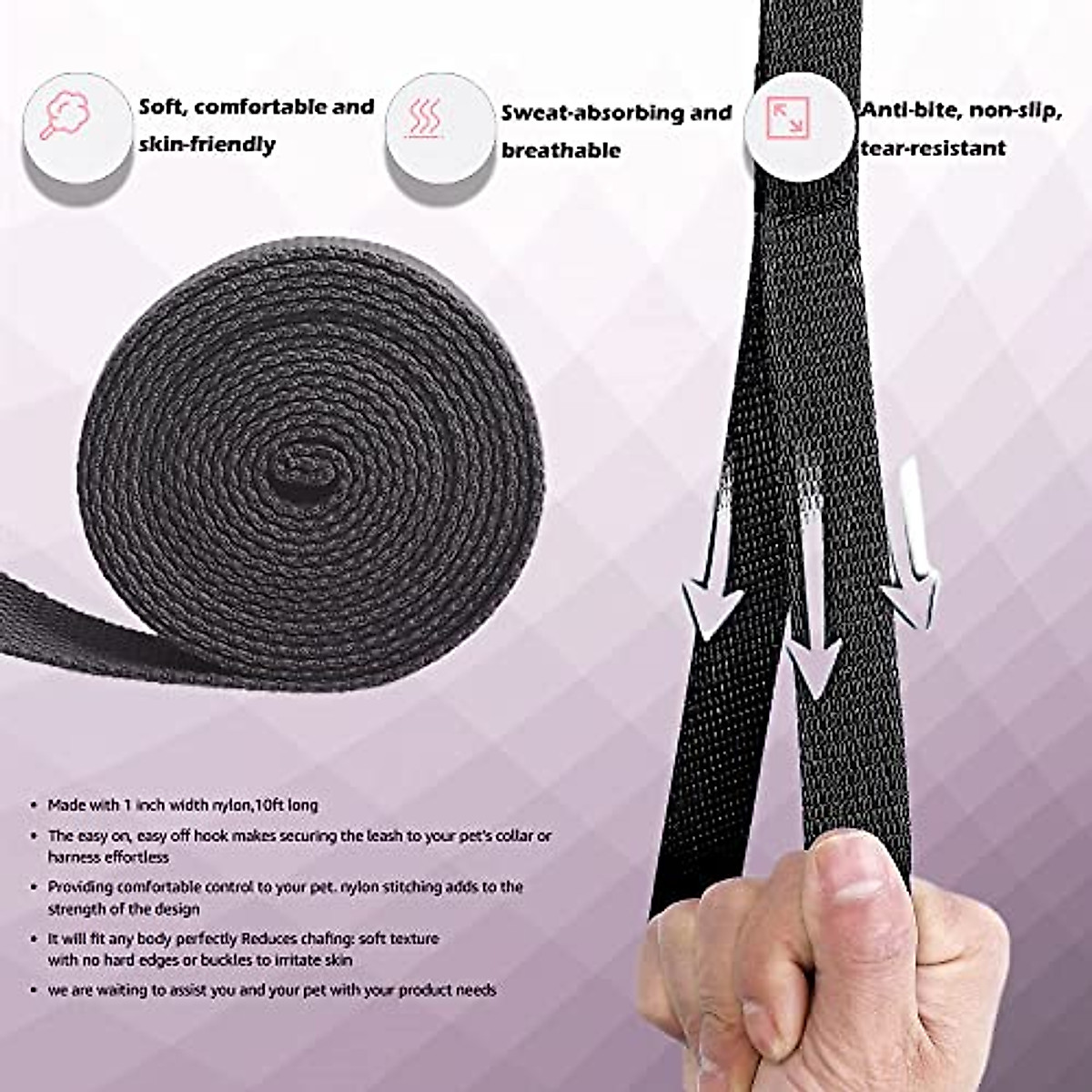 Accessory USA 10ft Black Long Line Training Dog Leash,for Large,Medium and Small Dogs,Long Dog Lead,for Training,Backyard,Camping,or Play,Great for Parks and Fetch (10FT, Black)