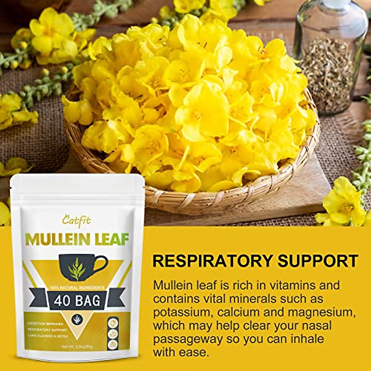 Mullein Leaf Herbal Tea for Respiratory Support, Mullen Tea for Lung Cleanse, Iymphatic Cleanse & Detox and Immune Support - No Caffeine, Non-GMO - 40 Tea Bags