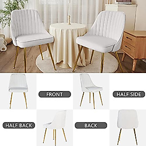 ANOUR Modern Dining Chairs,Set of 2, Velvet Kitchen Chair with Gold Metal Legs,Upholstered Side Chair for Dining Room,Living Room,Makeup Room(White,2 Pack)