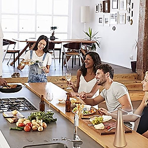 PIAOPIAONIU 4 Pcs Fly Fan for Table Outdoor Picnic Fly Fan and Food Fan Indoor Meal for Party