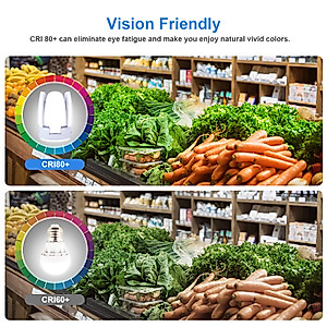 Rieyue 2 Pack LED Light Bulb 35 Watt (150W Equivalent), Mini LED Garage Light E26 Base Daylight 6500K, Super Bright Deformable LED Bulbs for Workbench Porch Basement