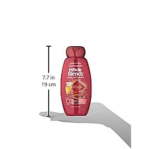 Garnier Whole Blends Color Care Shampoo and Conditioner Set with Argan Oil and Cranberry Extracts, 12.5 Ounces each