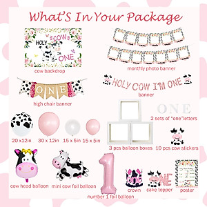 Fiesec Holy Cow I'm One Birthday Decorations, Cow First Birthday Party Supplies Girl, Cow Print 1st Decorations, 1st Birthday Girl Decorations