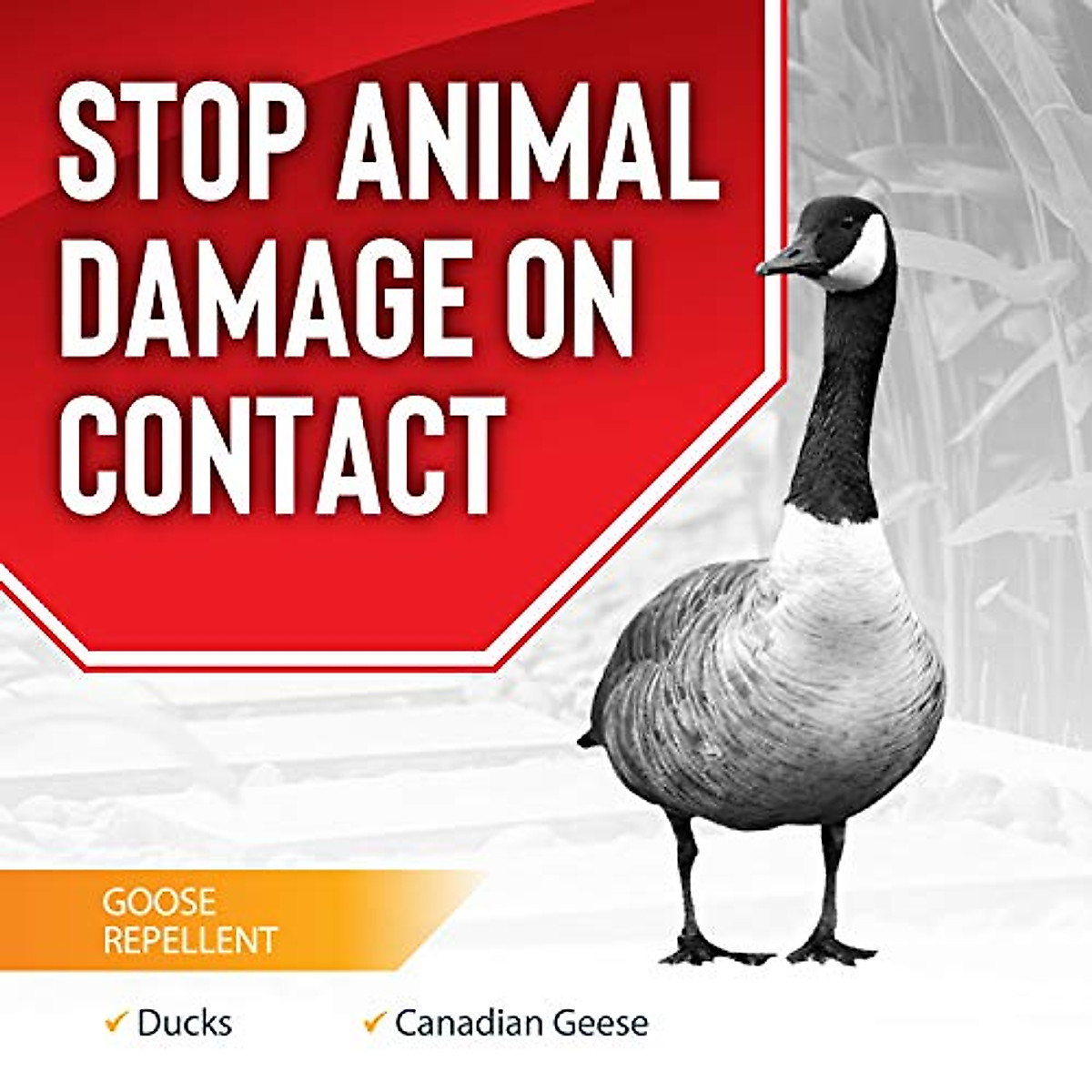 Messina Wildlife GS-C-032 Goose Stopper Quart Concentrate, 1 quart