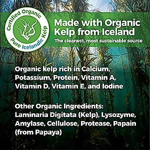 Animal Essentials SeaDent Kelp & Enzyme Plaque & Tarter Control for Dogs, 2.5 oz - Made in USA, Healthy Teeth & Gums