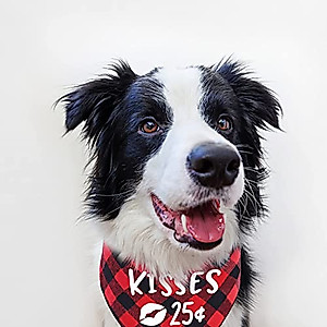 Valentine Holiday Dog Bandana, Cat Red Buffalo Bandana for Large Medium Small Pets Puppies (Large)