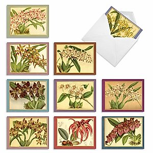 The Best Card Company - 10 Boxed Note Cards with Flowers - Blank Assorted Floral Notecards Bulk (4 x 5.12 Inch) - Tiger Orchids M10037BK