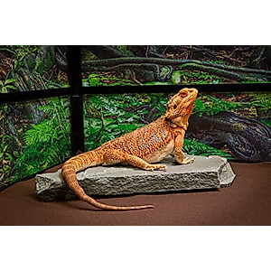 Carolina Custom Cages Natural Habitat Rocks, Blue Green (one Large Size)