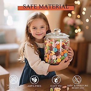 Airtight Glass Jar,Cookie Candy Penny Jar with Leak Proof Rubber Gasket Lid,1 Gallon Clear Round Big Household Multifunctional Storage Container with Silicone Reusable Food Bag for Cookies, Candies