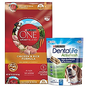 Purina Bundle Pack Adult Dry Dog Food and Treats, ONE Chicken and Rice Formula with DentaLife ActivFresh