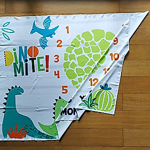 Dinosaur Baby Stuff Month Milestone Blanket for Newborn Photo Taken - Baby Age Blanket