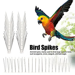 Bird Repellent, Bird Spikes Wear and with Stainless Steel Tip for Garden