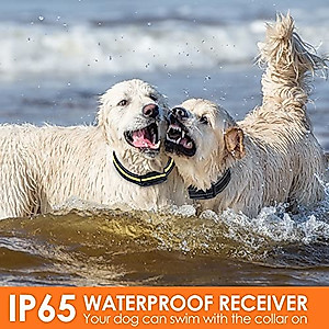 Dog Training Collar for 2 Dogs with Remote, Waterproof Rechargeable Electric Dog Shock Collar with Beep Vibration Shock Adjustable 0 to 99 Levels Dog Training Set for Large Medium Small Dogs