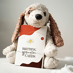 Yellow Rose Card Co. Birthing Affirmation Cards - 24 Premium Cards for Pregnant Moms, Baby Shower Gifts and Labor