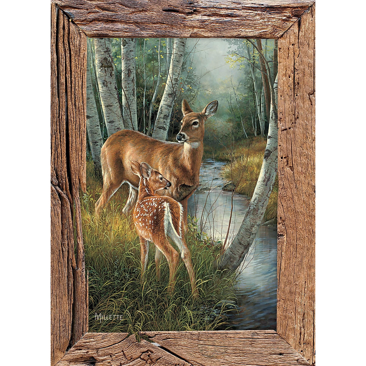 HTL Card-Boxed-Birthday-Whitetail Deer (Box of 12)