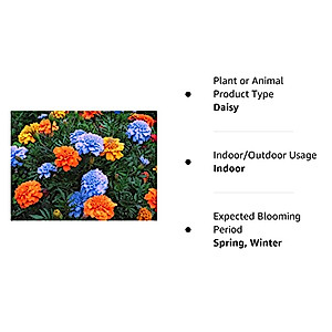 200 Pcs Mixed Marigold Seeds Flower Plant Bonsai Garden Decoration