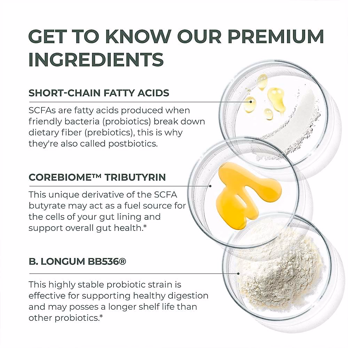 Primal Harvest Restore for Gut Health, Primal Gut Restore w/POSTbiotics, PREbiotics and PRObiotics for Women and Men, 60 CT - Digestion, Colon Cleanse, Immunity Support - Helps Leaky Gut Repair