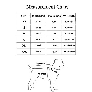 Petvins Small Dog & Cat Winter Clothes Green Dinosaur Pet Soft Hoodies Cute Cold Weather Costume for Kitten and Puppy