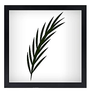 NAOKBOEE 15x15 Picture Frame in Black - Horizontal and Vertical Formats for Wall - Photo Frames with Shatter Resistant Plexiglass