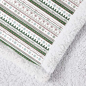 Dinjoy Christmas Holiday Throw Blanket, Snowflake Christmas Tree Green White Fuzzy Sherpa Fleece Plush Bed Throw Kid Xmas New Year, Fluffy Blanket for Bed Sofa Couch Car 50x60 Inches