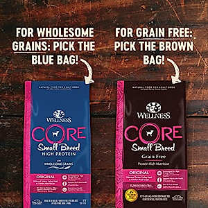 Wellness CORE Grain-Free High-Protein Small Breed Dry Dog Food, Natural Ingredients, Made in USA with Real Meat (Adult, Turkey, 4-Pound Bag)