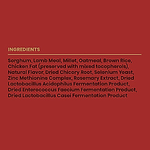 Victor Super Premium Dog Food – Classic Crunchy Dog Treats with Lamb Meal – Gluten-Free Treats for Small, Medium and Large Breed Dogs, 28oz