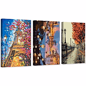 cupmod Paint by Number for Adults, 4 Pieces Paint by Numbers for Adults Beginner Drawing Paintwork with Paintbrushes Cityscape Paint Canvas Oil Painting 12X16inch