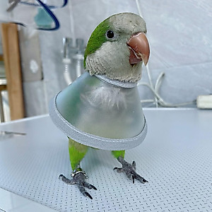 Adjustable Parrot Cone Collar, Safe and Practical Cotton Collar to Prevent Bites and Licking Wounds, to Help heal (M)