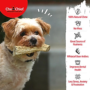 CHEW CHIEF Deer Antler Dogs Large Breeds - Premium Quality Dog Antlers for Aggressive Chewers - Naturally Shed Dog Chew Antlers - Dog Antler Chews (1 Pack)