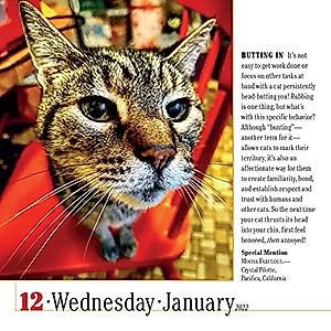 365 Cats Page-A-Day Calendar 2022: The World's Favorite Cat Calendar