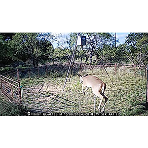 HCO Outdoor Products Spartan GoLive Next Generation Cellular Scouting Camera with Batteries, 32 GB Spartan SD Card, and Spudz Microfiber Cloth Screen Cleaner (Verizon 4GLTE)