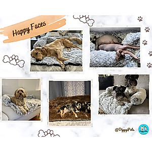 DRIPPY PETS Calming Dog Beds for Medium Dogs, Plush Dog Mat with Fluffy Neck Bolster, Protects Furniture with Removable and Washable Cover for XL Large Medium Small Dogs and Cats (Dark Gray - Medium)