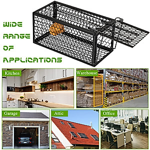 Humane Rat Trap Chipmunk Rodent Trap Mouse Trap Squirrel Trap Small Live Animal Trap Mouse Voles Hamsters Live Cage Rat Mouse Cage Trap for Mice Easy to Catch and Release (Black,2 Pcs)