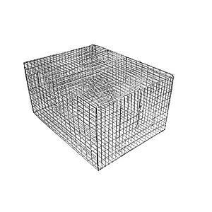 Bird B Gone BMP-SP2C Sparrow Trap with Two Chambers, 8-Inch by 12-Inch by 16-Inch