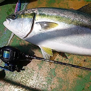 Abu Garcia (Jigging Rod Bait Ocean Field Jigging OFJC-63/180